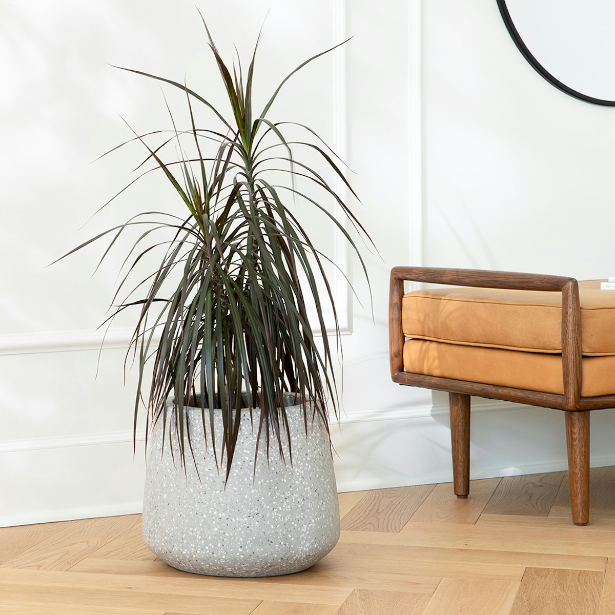 Narrow Gray Outdoor Terrazzo Planter | Tuva | Article