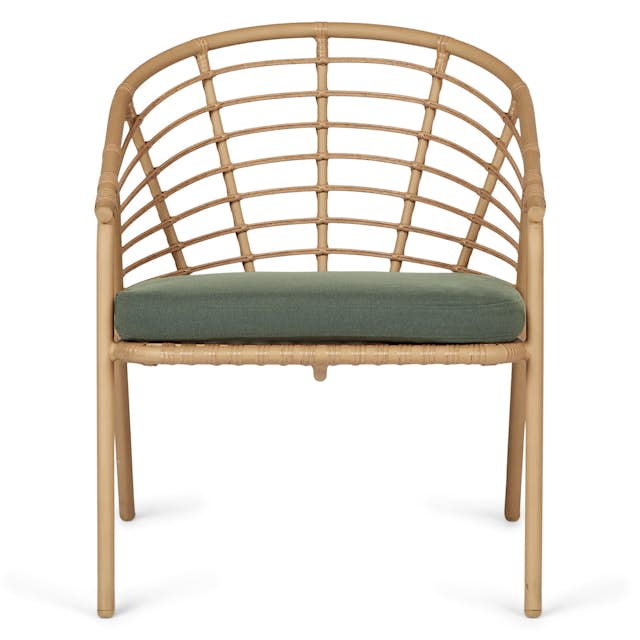 Dalarna Dravite Green Fabric & Faux Rattan Outdoor Lounge Chair | Article