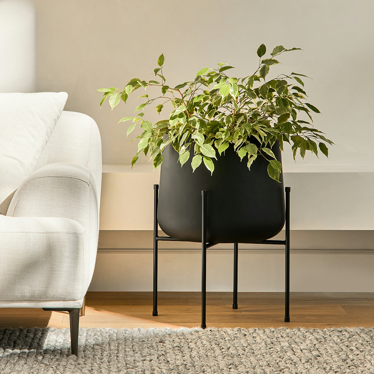 Tuva Black Concrete Indoor & Outdoor Wide Planter Set | Article