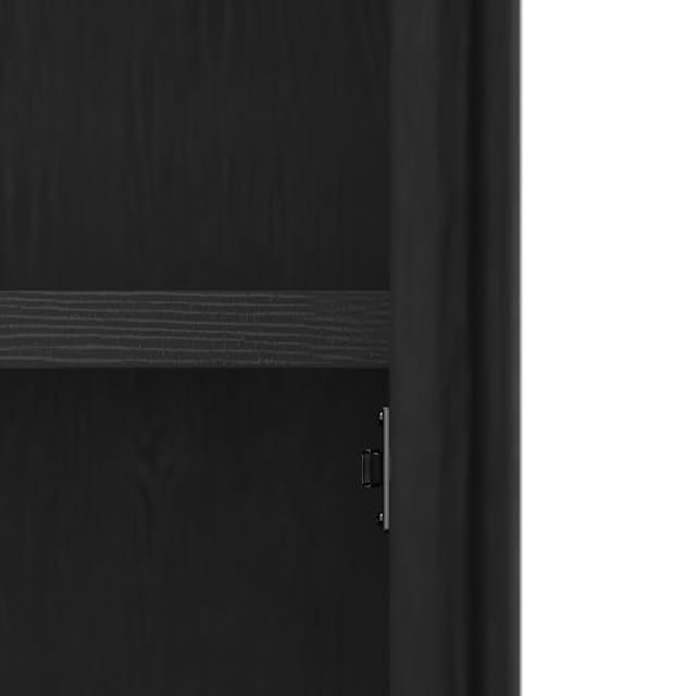 Faydra Black Wood Enclosed Bookcase Storage Cabinet | Article Coastal ...