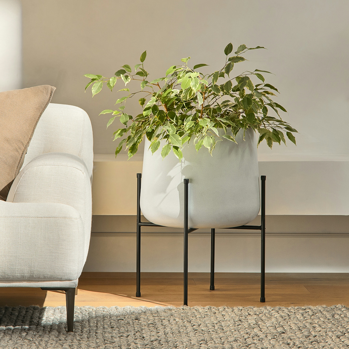 Tuva White Concrete Indoor & Outdoor Wide Planter Set | Article